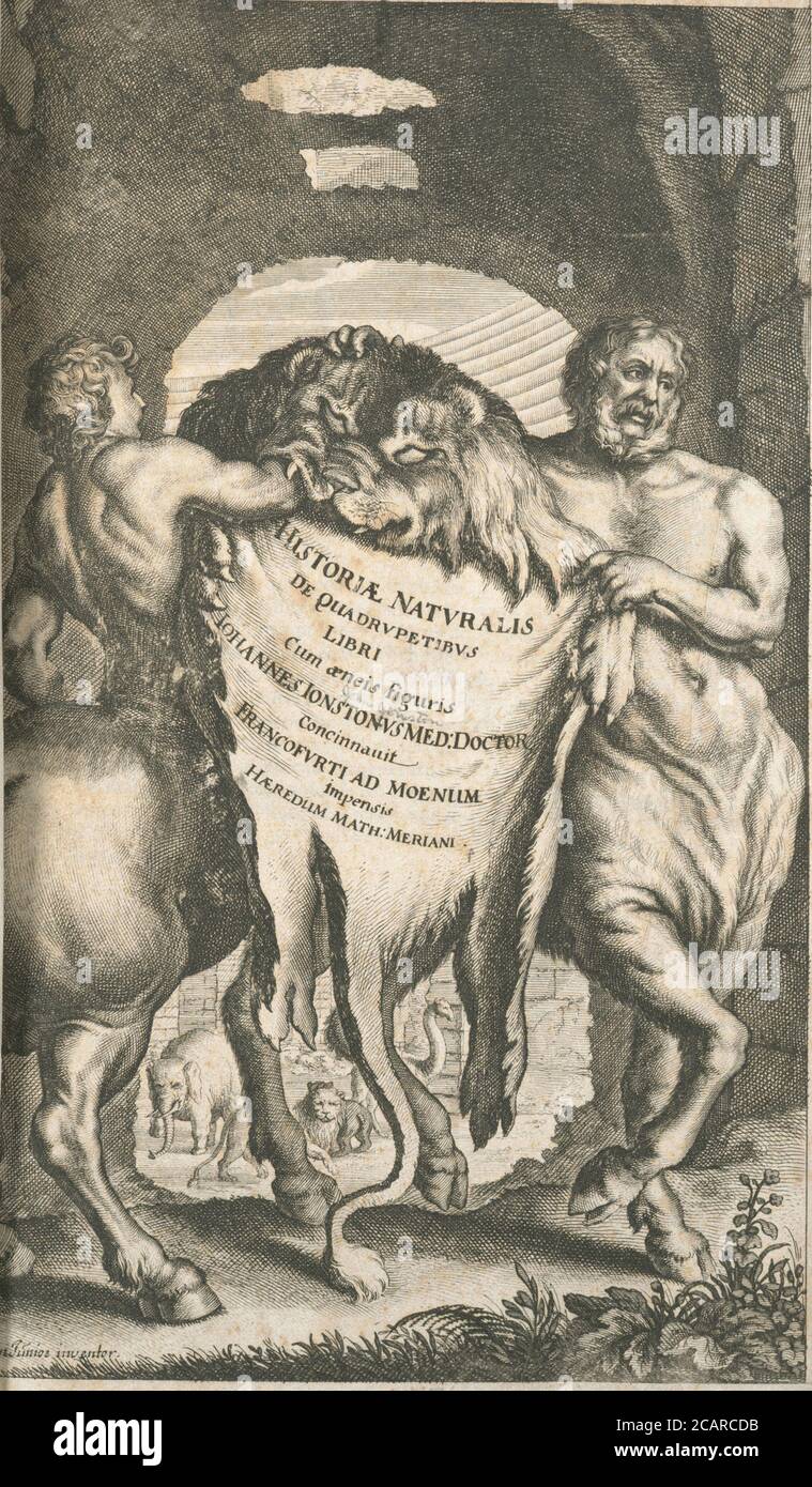 vintage animal illustration vintage classical artistic drawing Stock ...