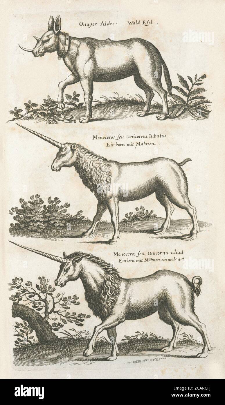 vintage animal illustration vintage classical artistic drawing Stock ...