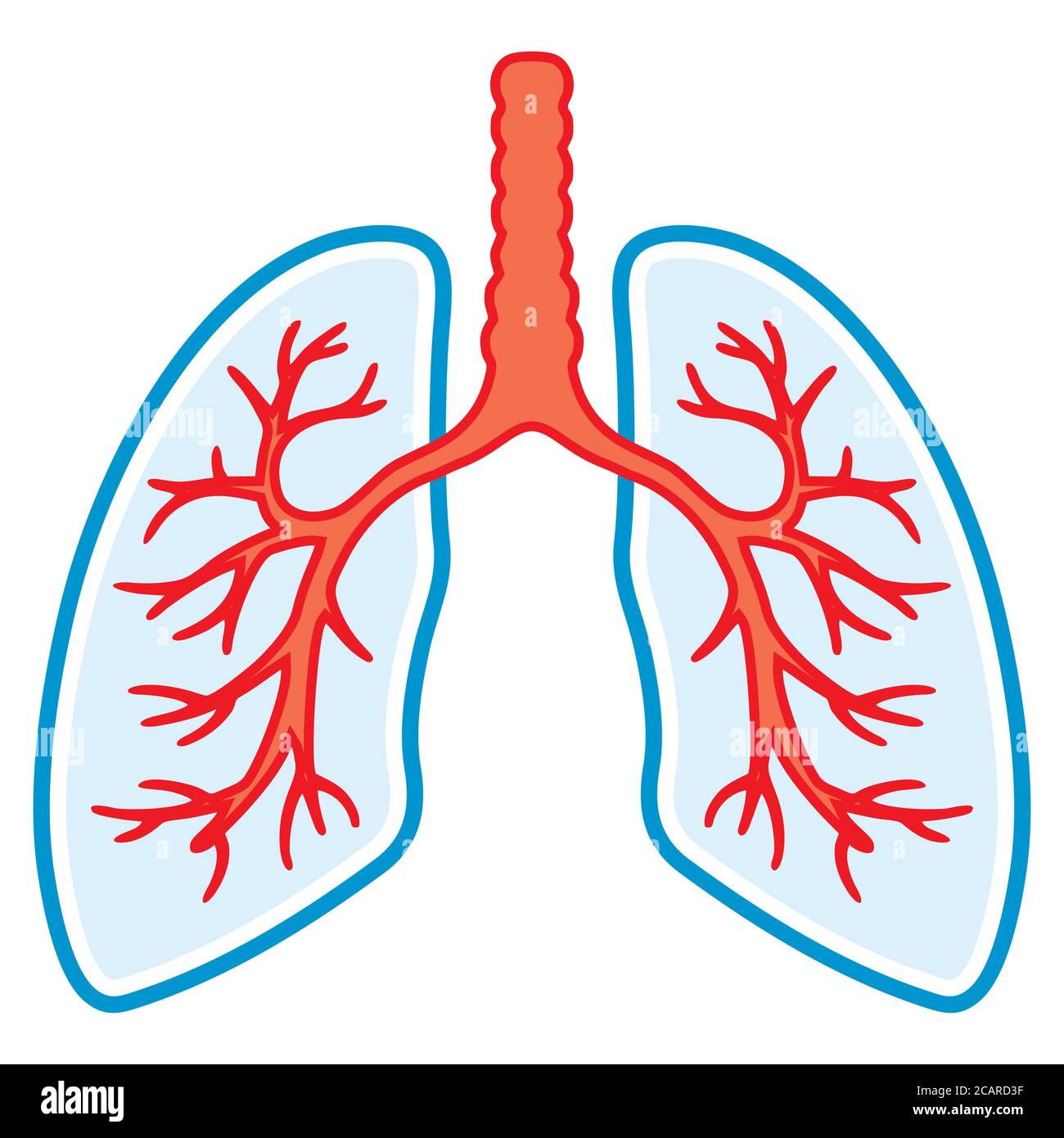 Lung icon hi-res stock photography and images - Alamy