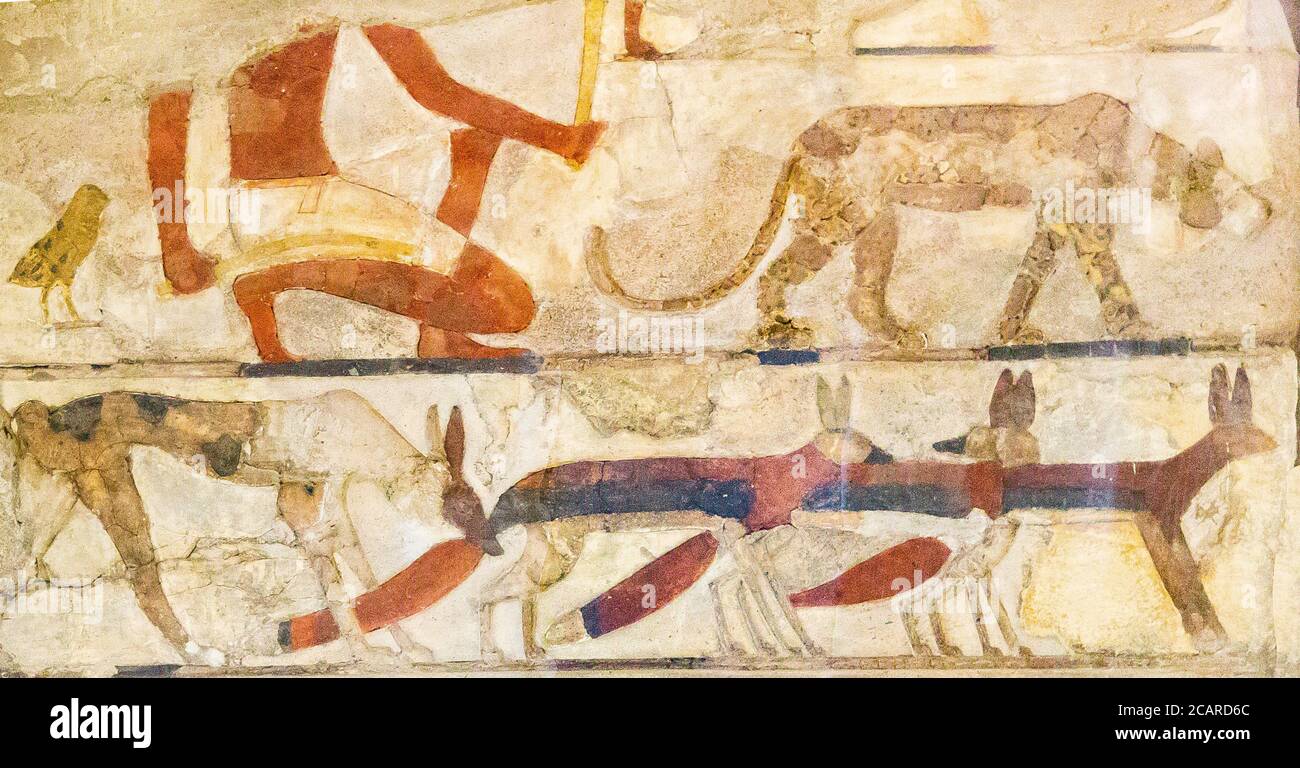 Egypt, Cairo, Egyptian Museum, the tomb of Nefermaat, Meidum, was the ...