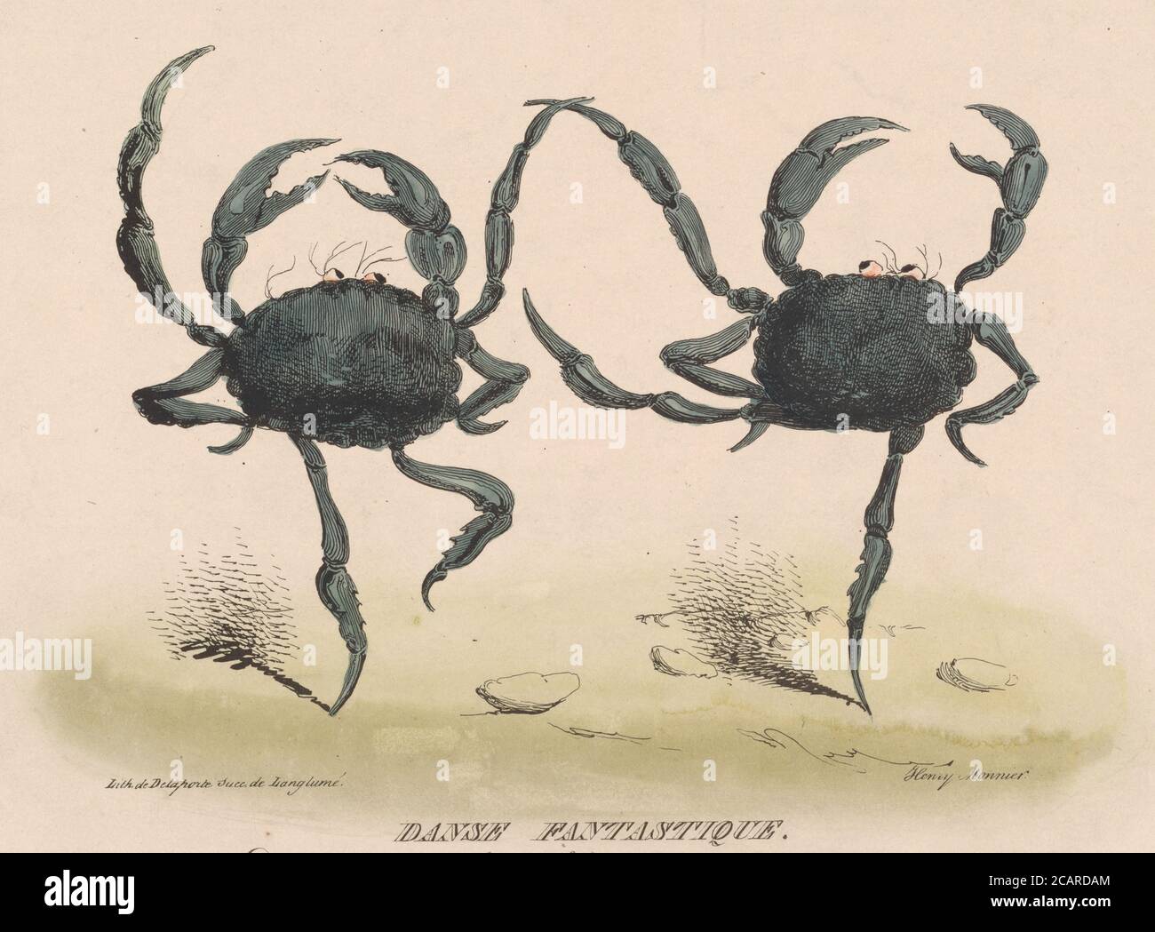 vintage animal illustration vintage classical artistic drawing Stock ...