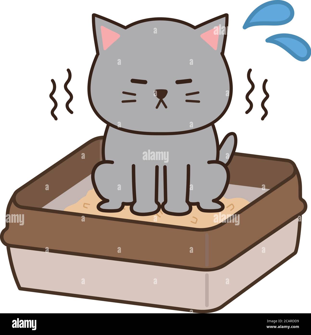 Gray cat pushing hardly to poop. Vector illustration isolated on white ...