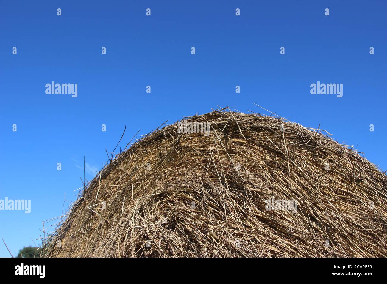Bale of hay. agriculture farm and farming symbol of harvest time ...