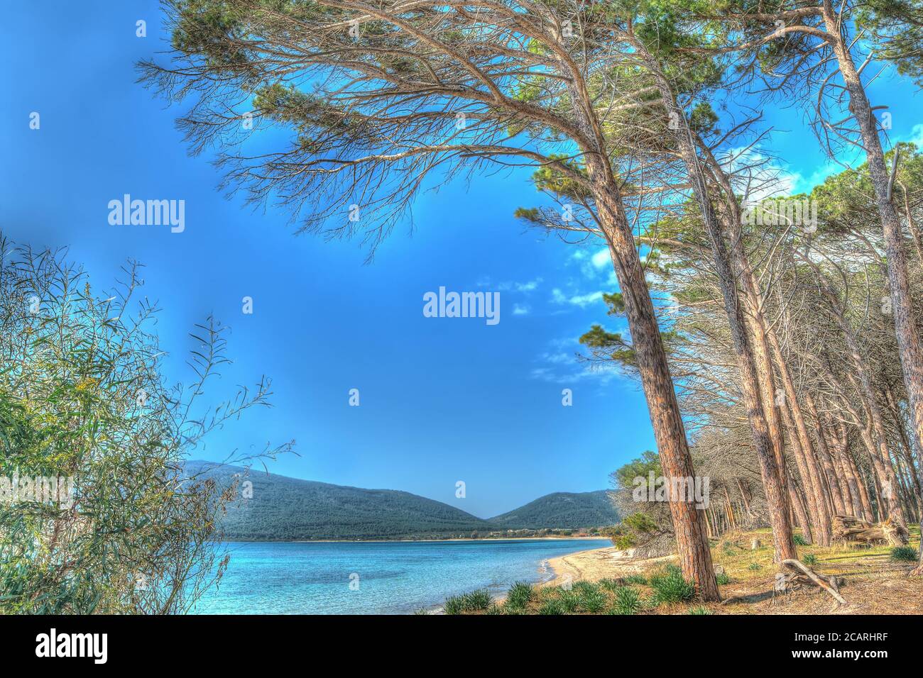 Mugoni shoreline in hdr tone mapping effect. Shot in Alghero, Italy ...