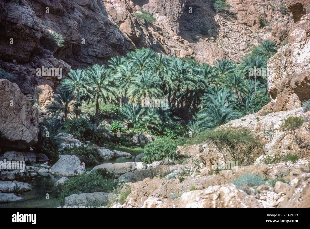 Wadi Shab, Oman. Water, Date Palms, and Vegetation in the Wadi Stock ...