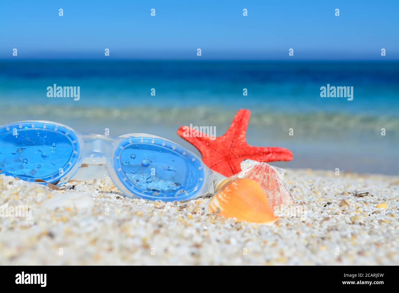 beach goggles and shells on the sand Stock Photo - Alamy