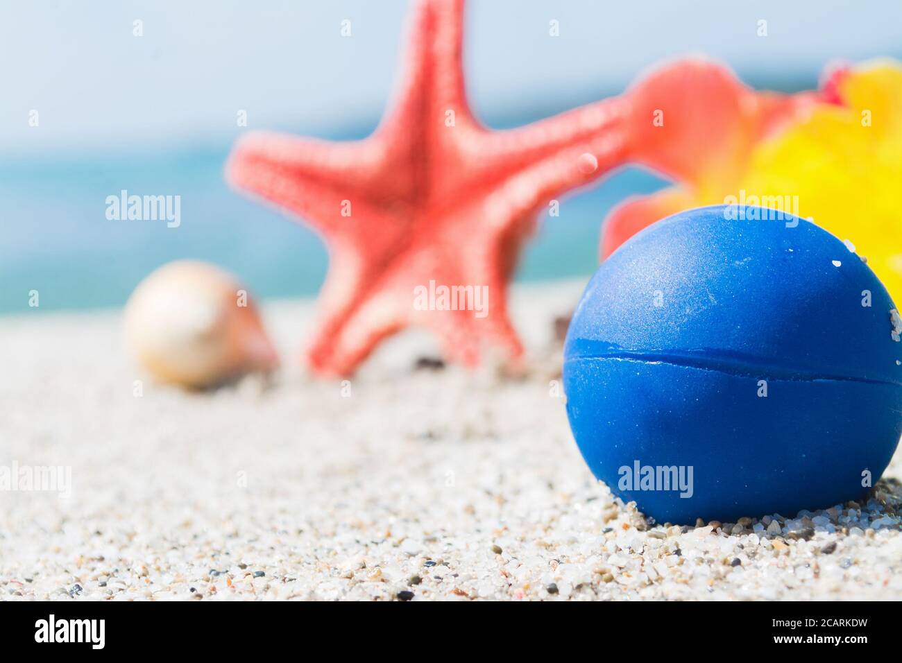 close up of a blue ball, starfish and shell on the sand Stock Photo - Alamy