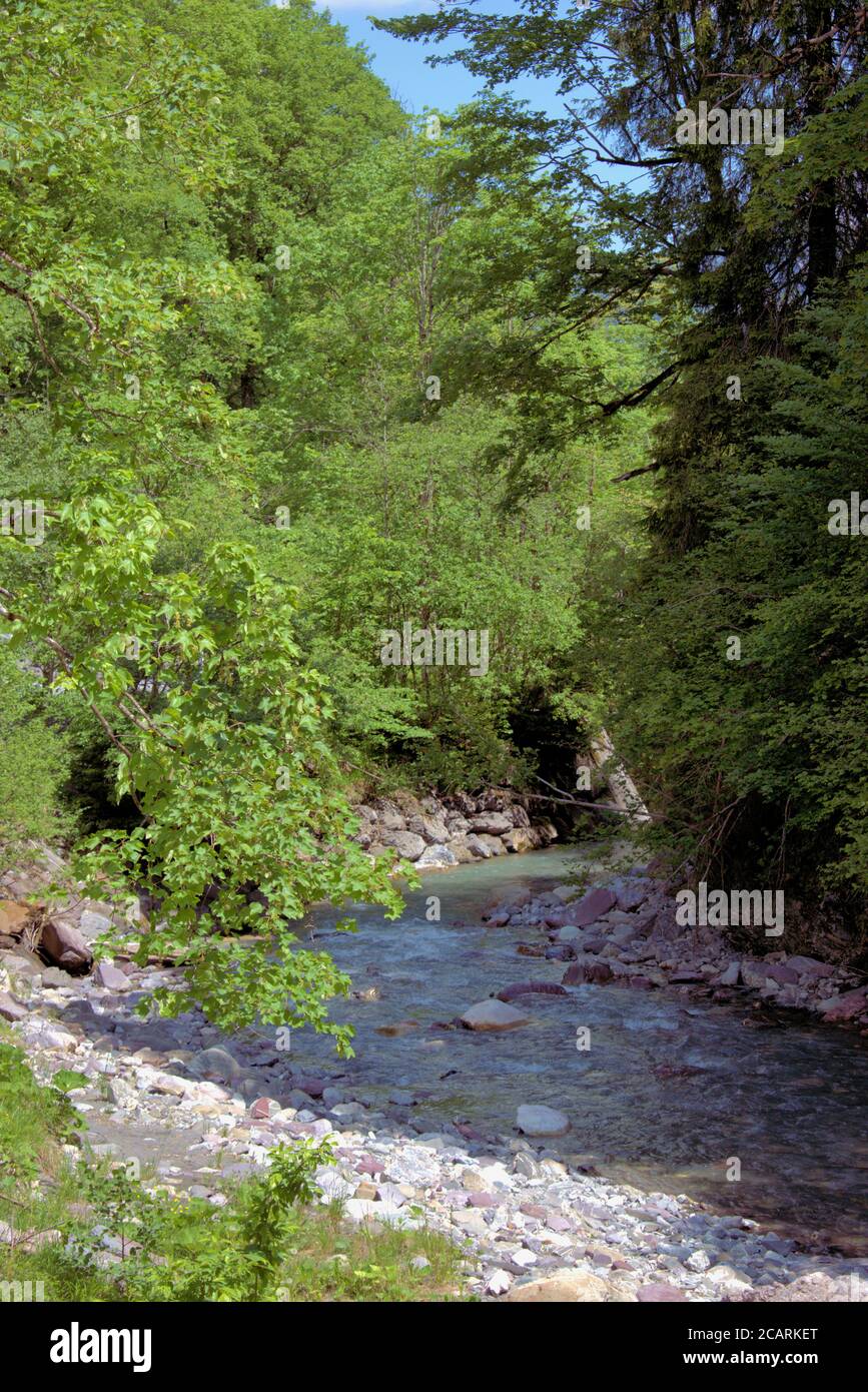 Small alpine river in Switzerland Stock Photo - Alamy