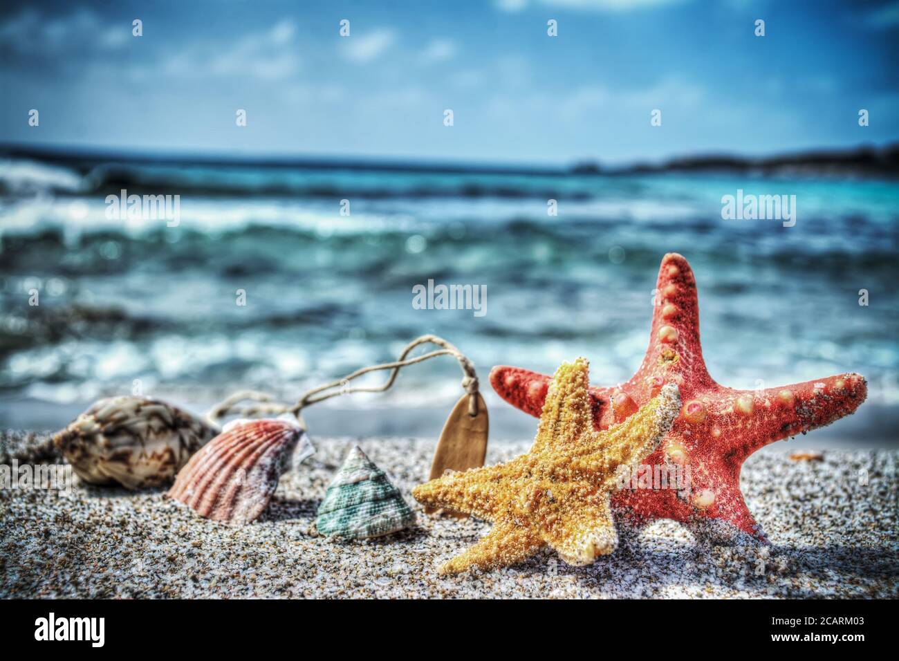 starfish and shells by the shore in hdr tone mapping effect Stock Photo ...