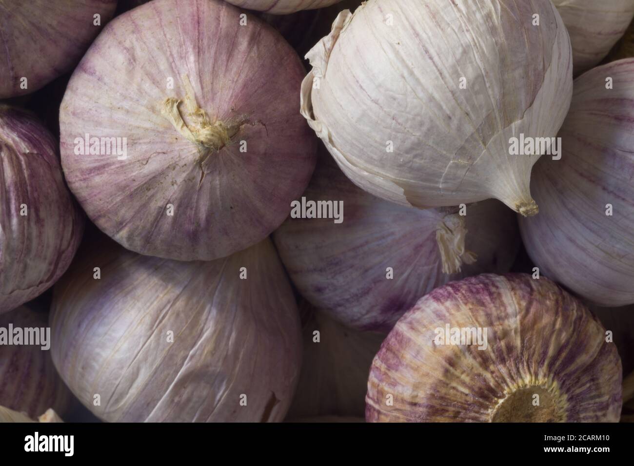 Solo part hi-res stock photography and images - Alamy