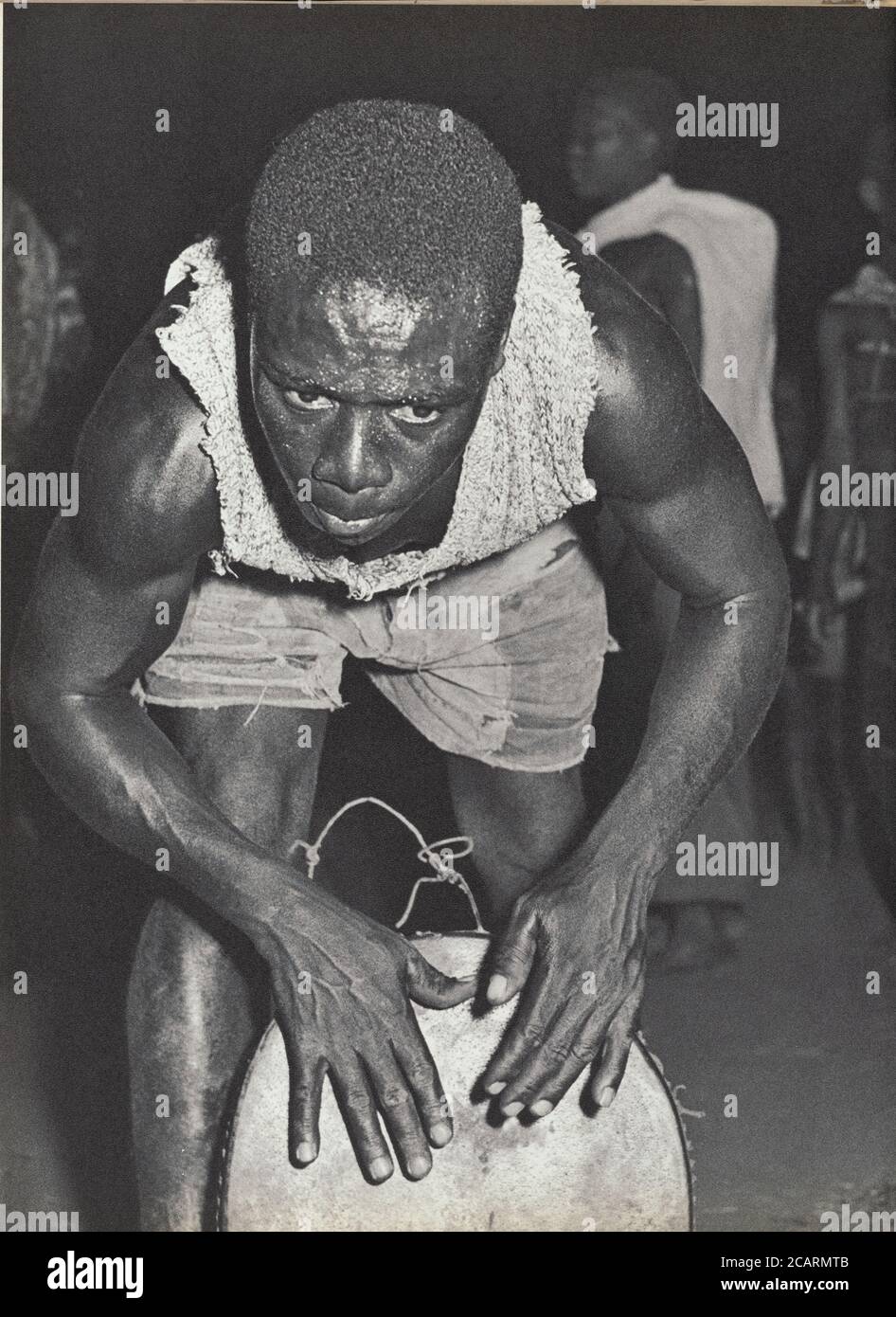 vintage animal illustration vintage classical artistic drawing Stock ...