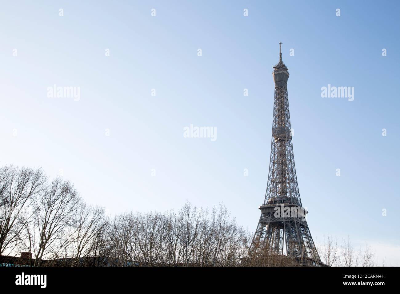 Eiffel Tower and Trees, Paris; France Stock Photo - Alamy