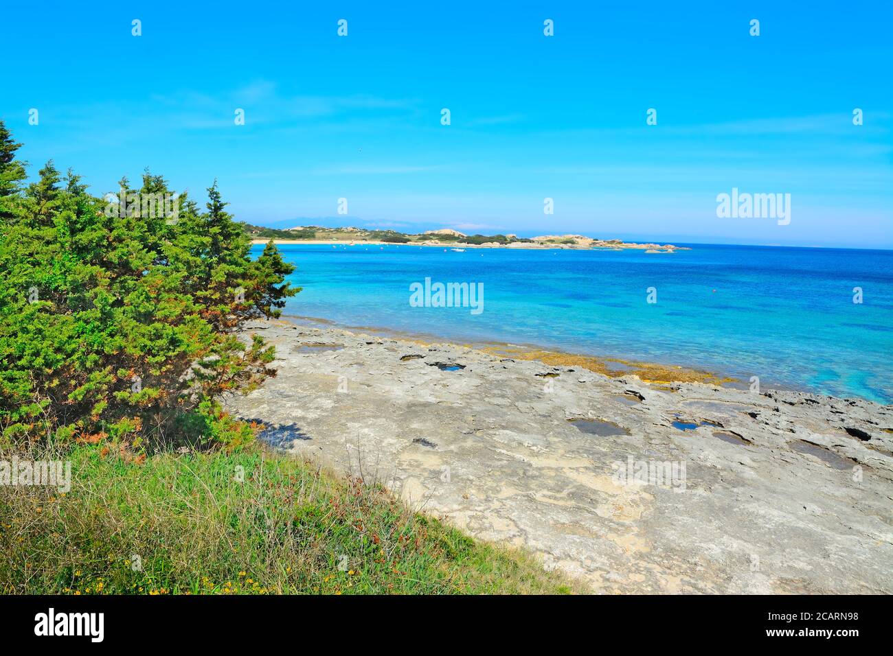 grey rocks and green plants by Capo Testa shoreline, Sardinia Stock ...