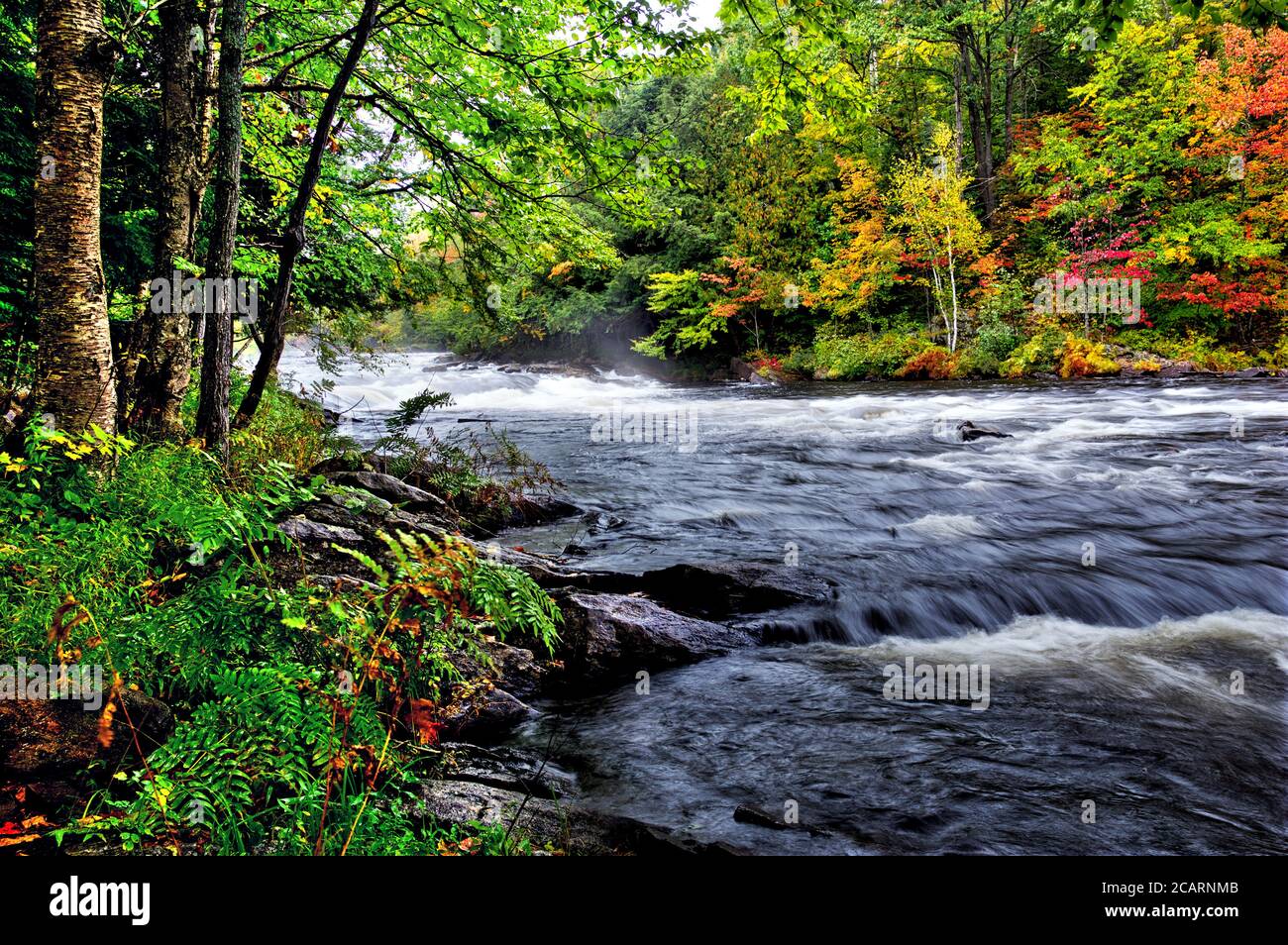 River flowing leaf hi-res stock photography and images - Alamy