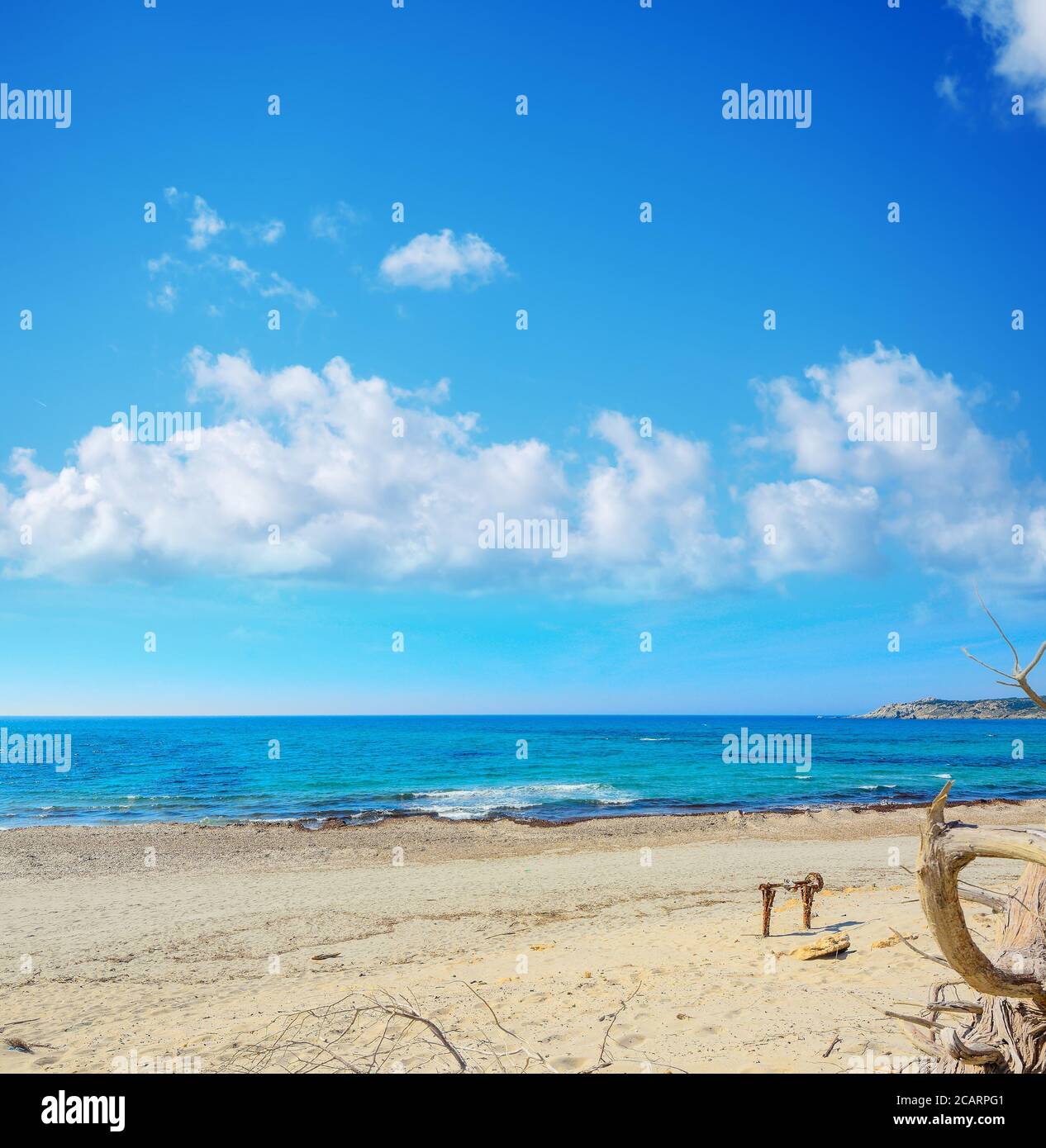 Rena majore hi-res stock photography and images - Alamy