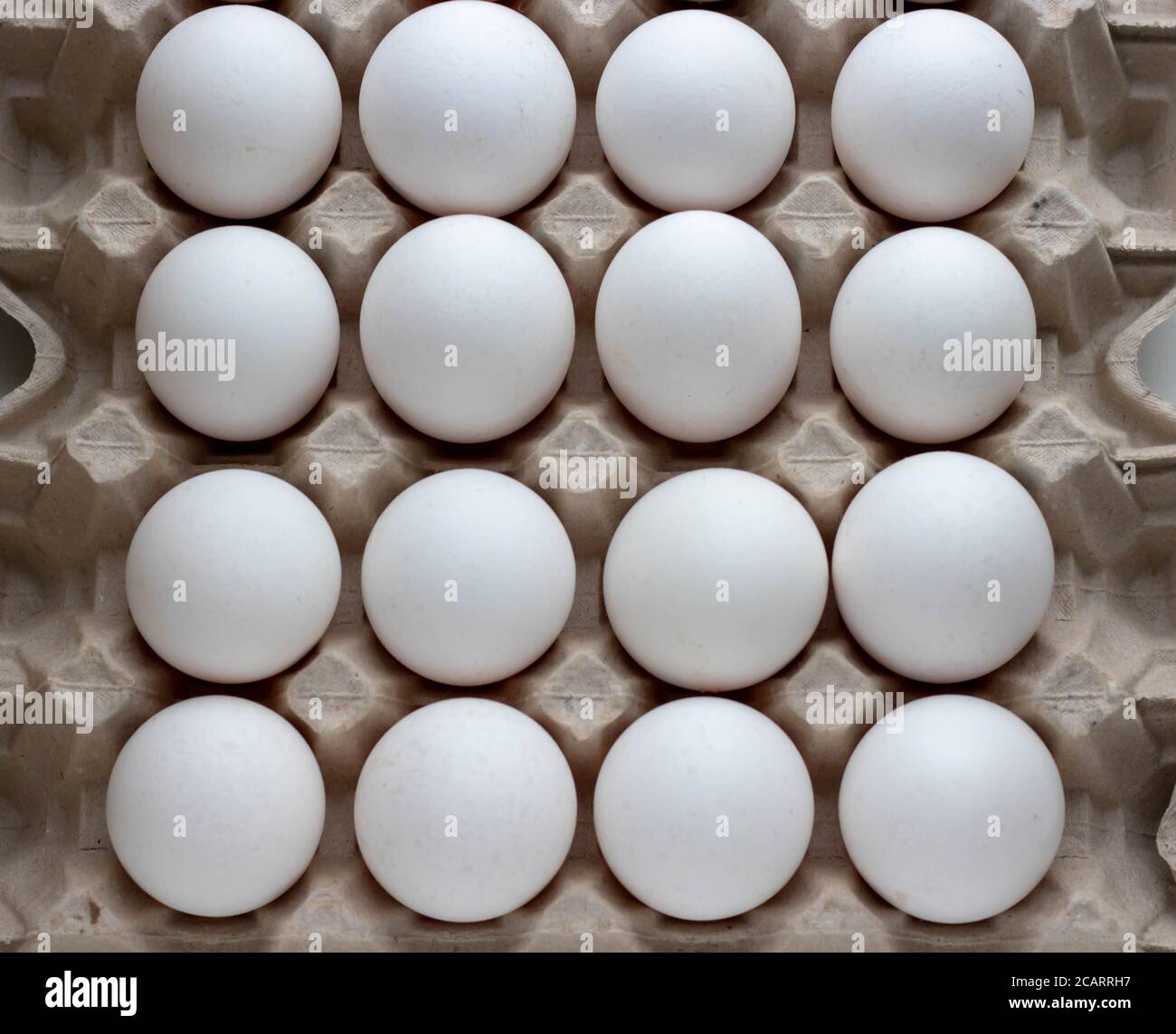 Easter egg half container hi-res stock photography and images - Alamy