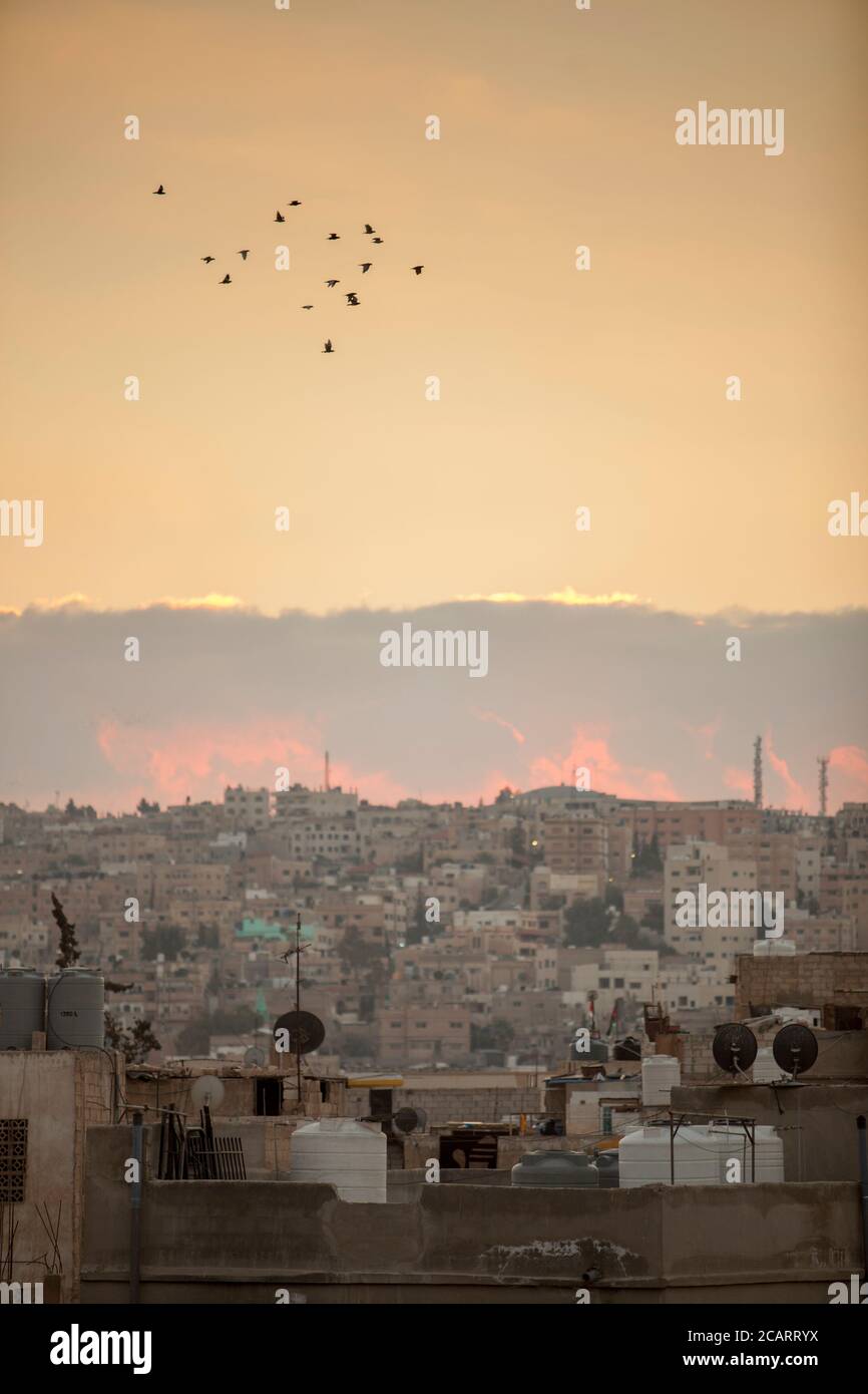 Rooftop water storage tanks are a common site in the arid city of Zarqa ...