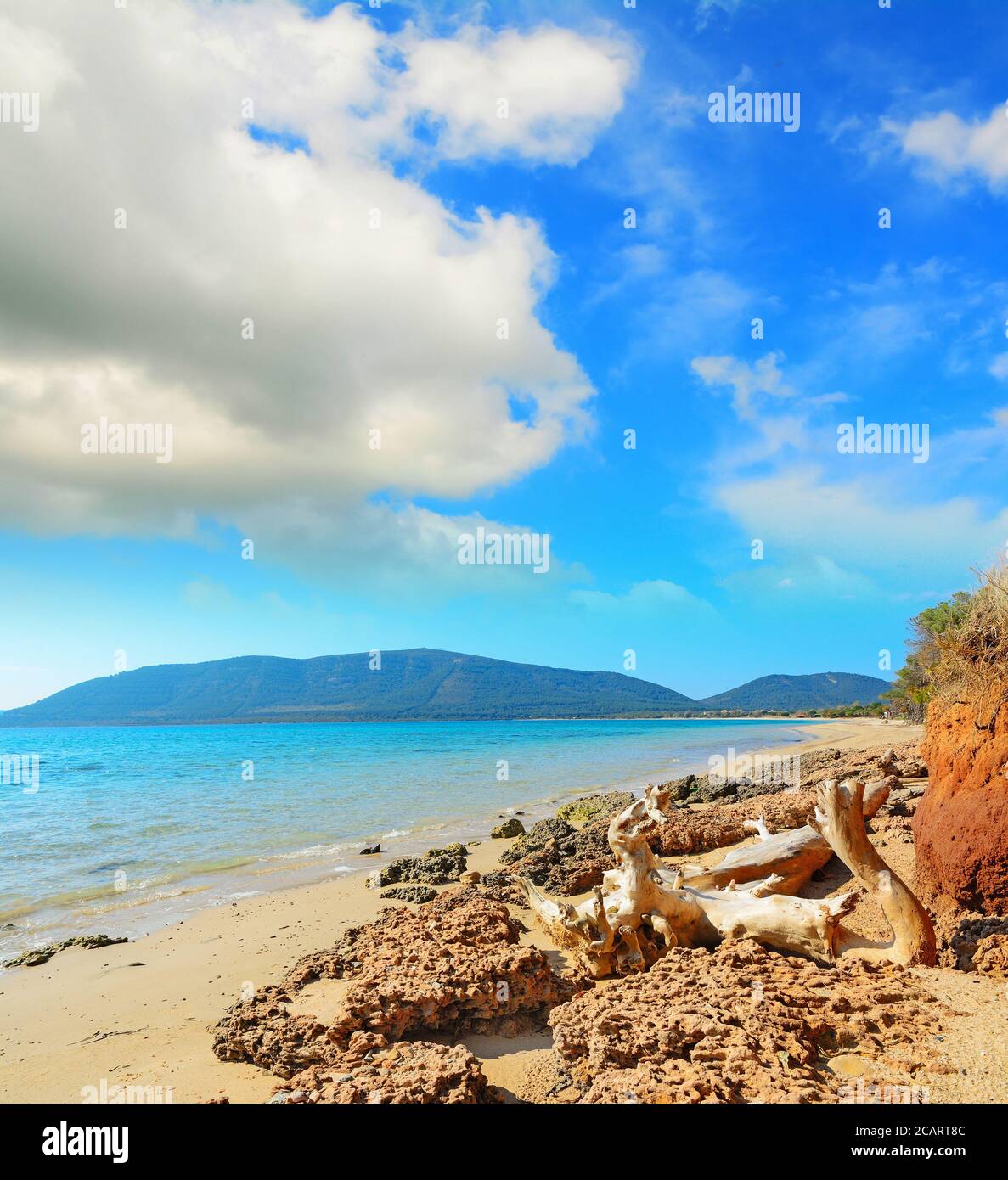 driftwood by Mugoni beach shoreline, Sardinia Stock Photo - Alamy