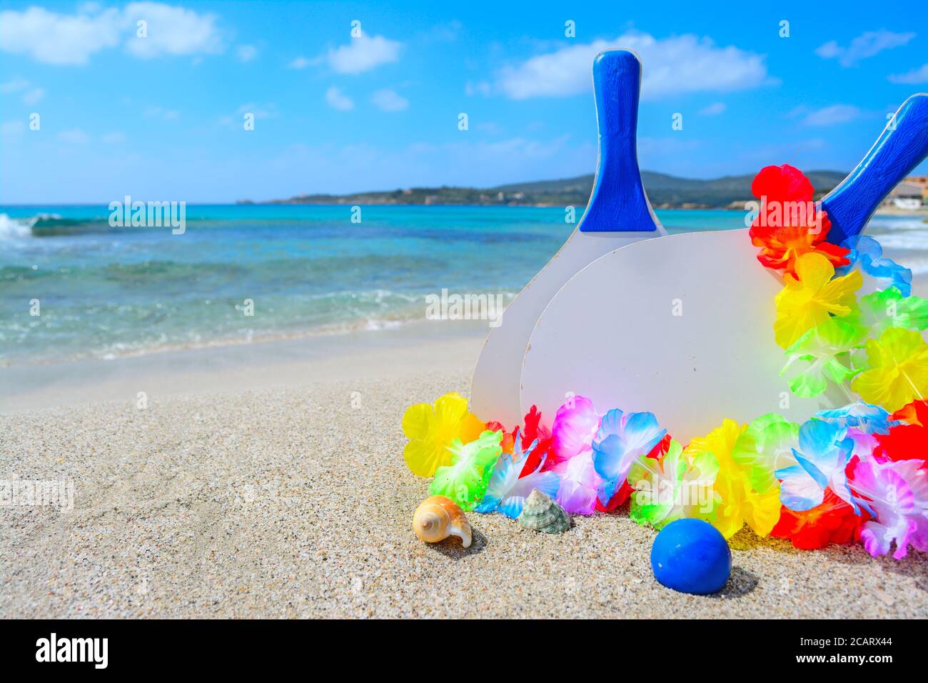 beach rackets and shells on a tropical beach Stock Photo - Alamy