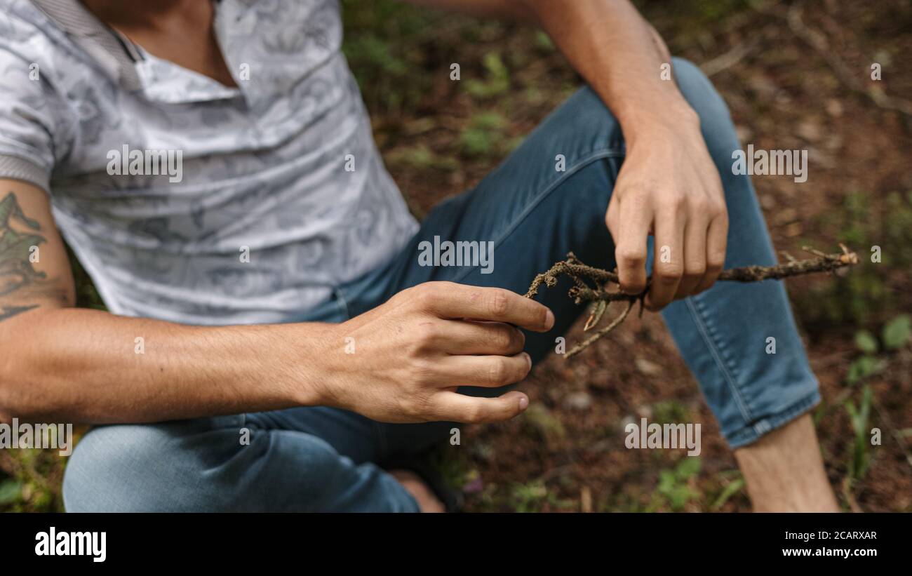 Tree sitting on hill in hi-res stock photography and images - Alamy