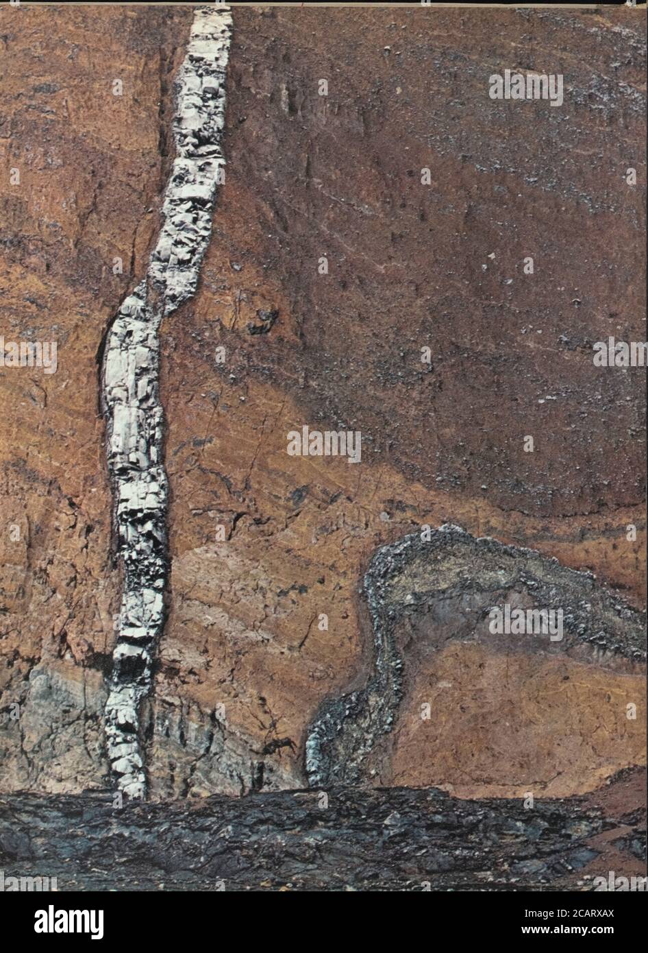 vintage animal illustration vintage classical artistic drawing Stock ...