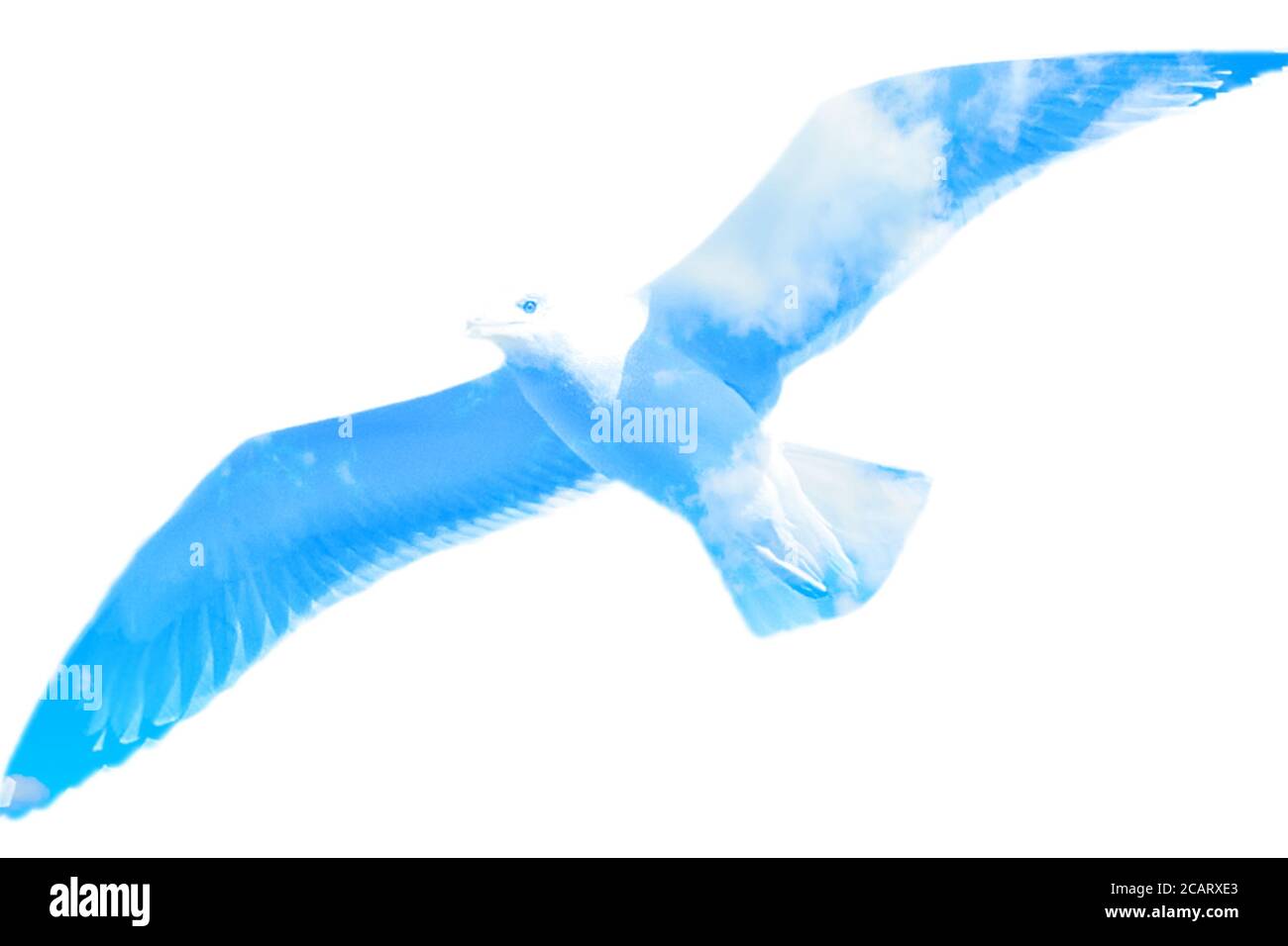 Sunlight exposure Cut Out Stock Images & Pictures - Alamy