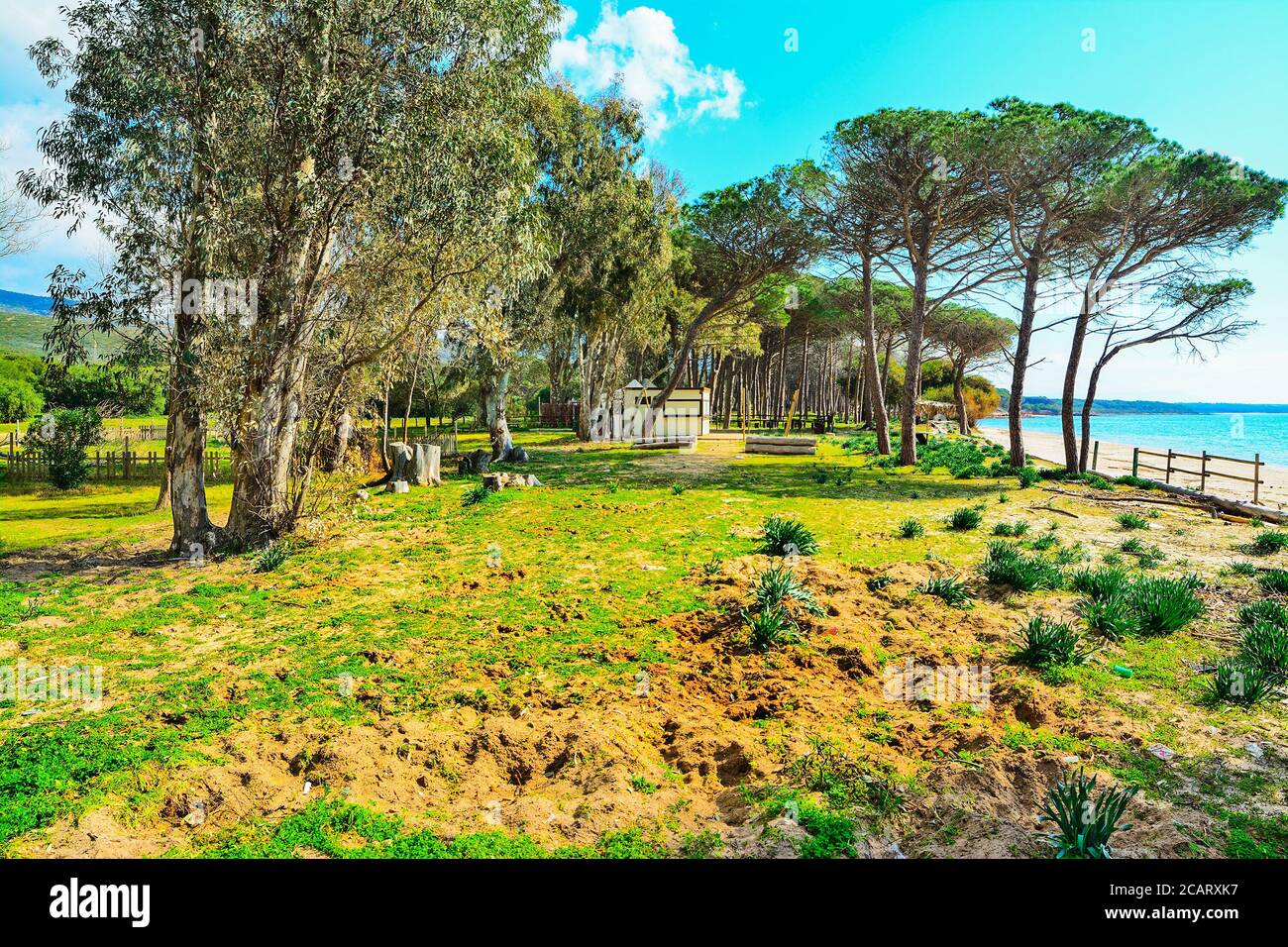 Pinewood cove hi-res stock photography and images - Alamy