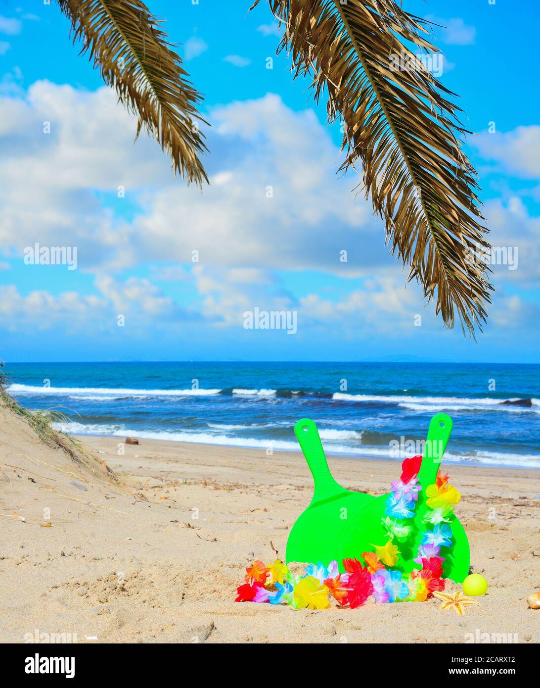green beach rackets under palm branches Stock Photo - Alamy