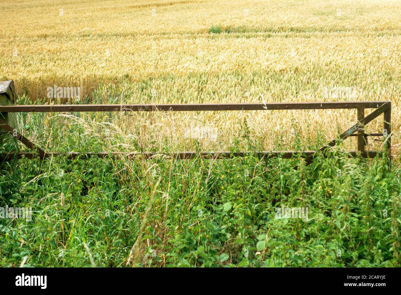 Old wooden gate leading to fields of wheat Stock Photo - Alamy