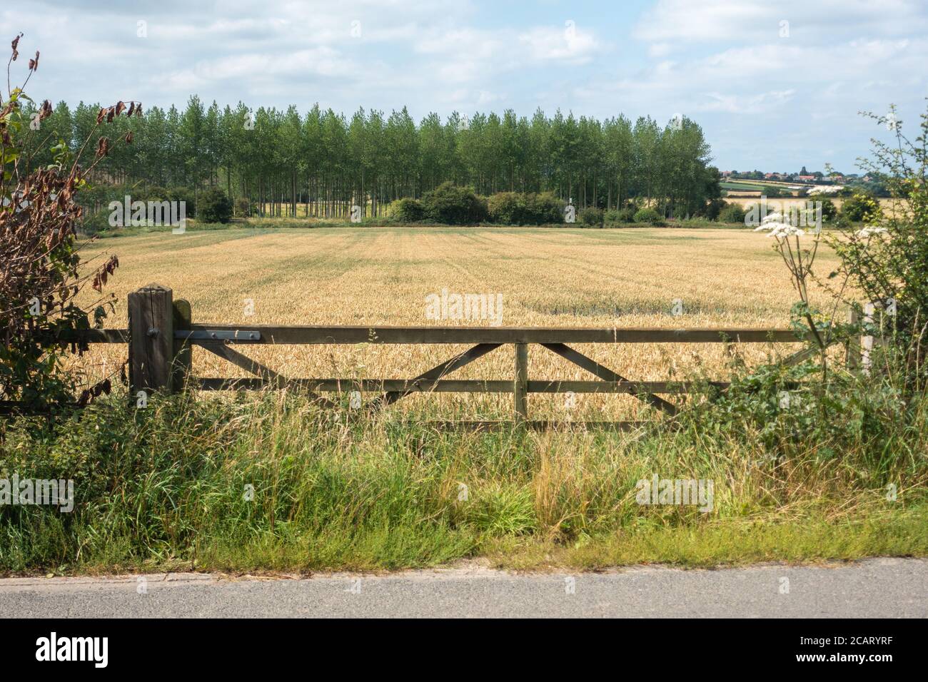 Gated field hi-res stock photography and images - Alamy