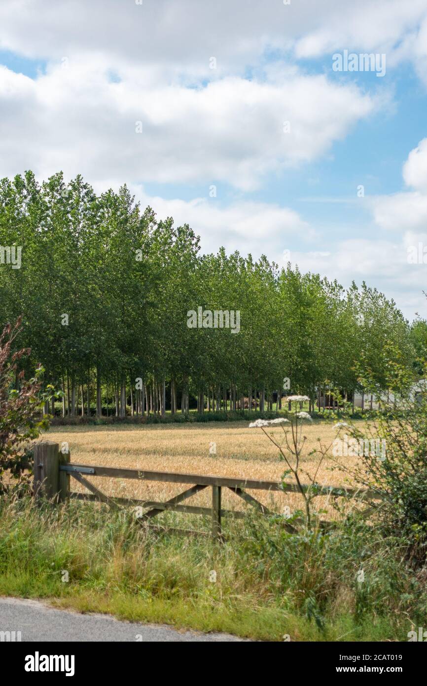 Gated field hi-res stock photography and images - Alamy