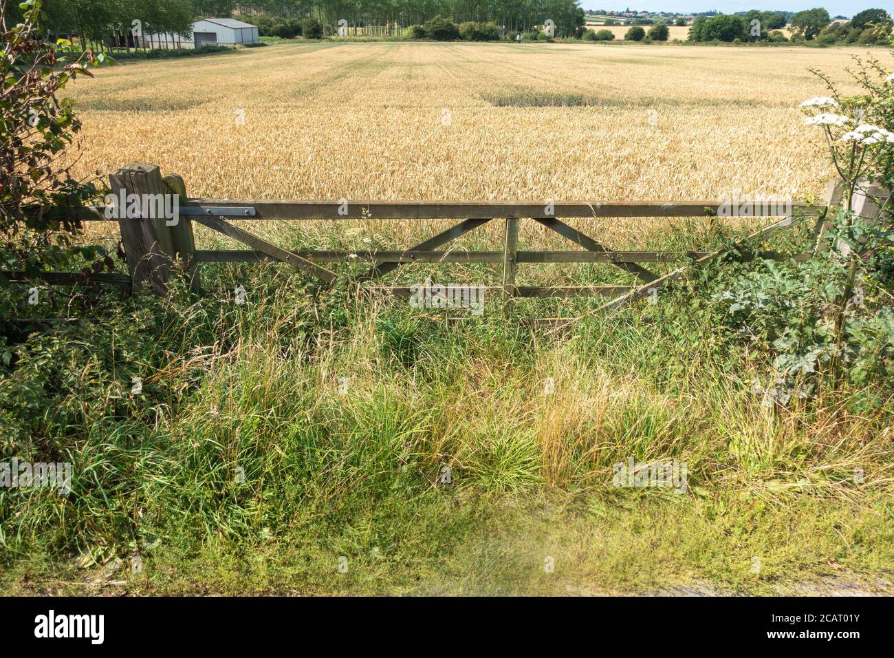 Old wooden gate leading to fields of wheat Stock Photo - Alamy