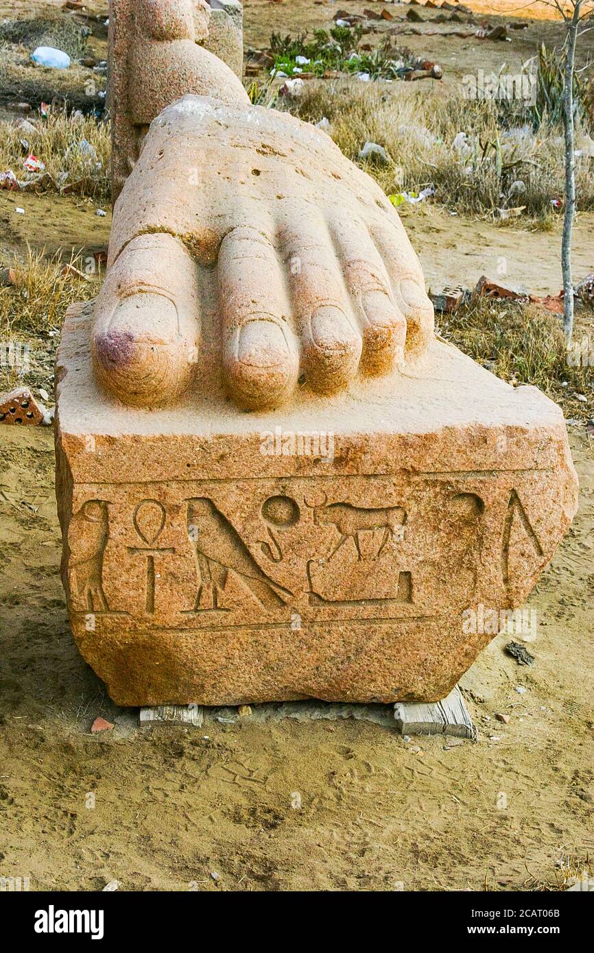 Egypt, Nile Delta, Tanis, the foot of a colossus of Ramses II, found ...