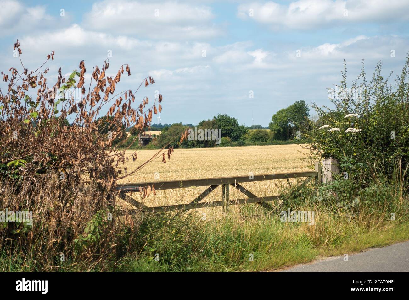 Old wooden gate leading to fields of wheat Stock Photo - Alamy