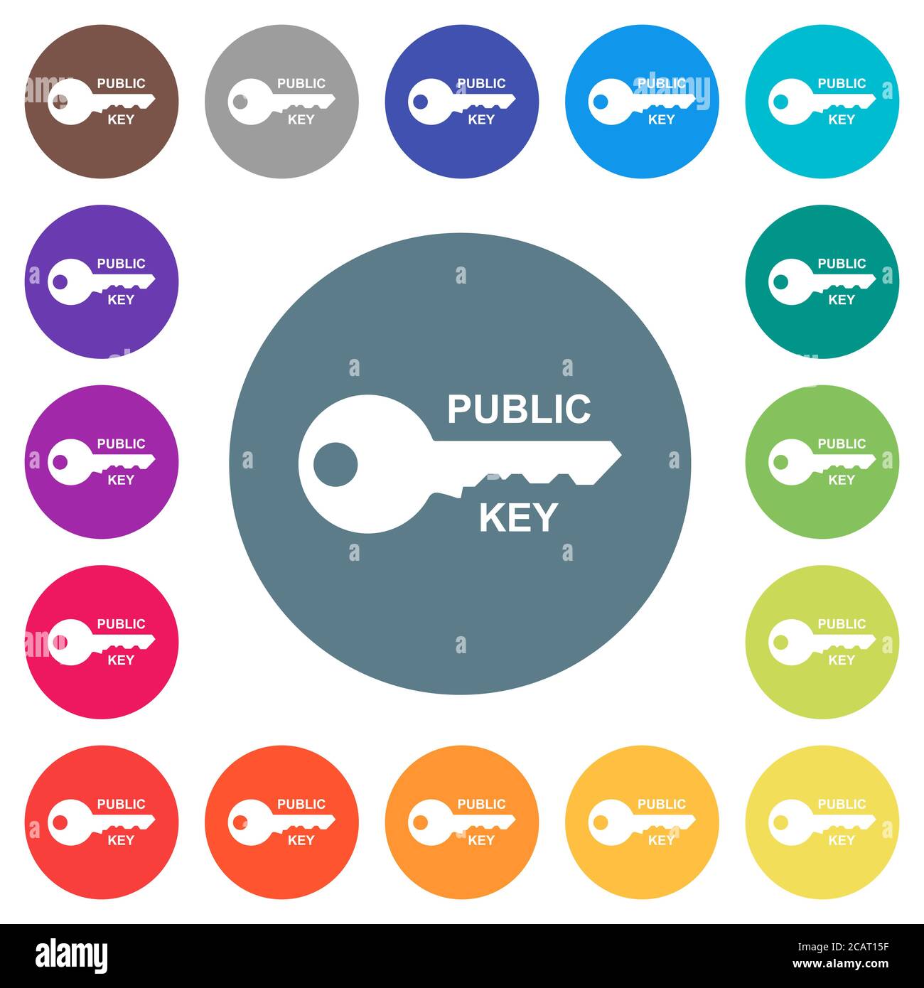 Public key flat white icons on round color backgrounds. 17 background ...