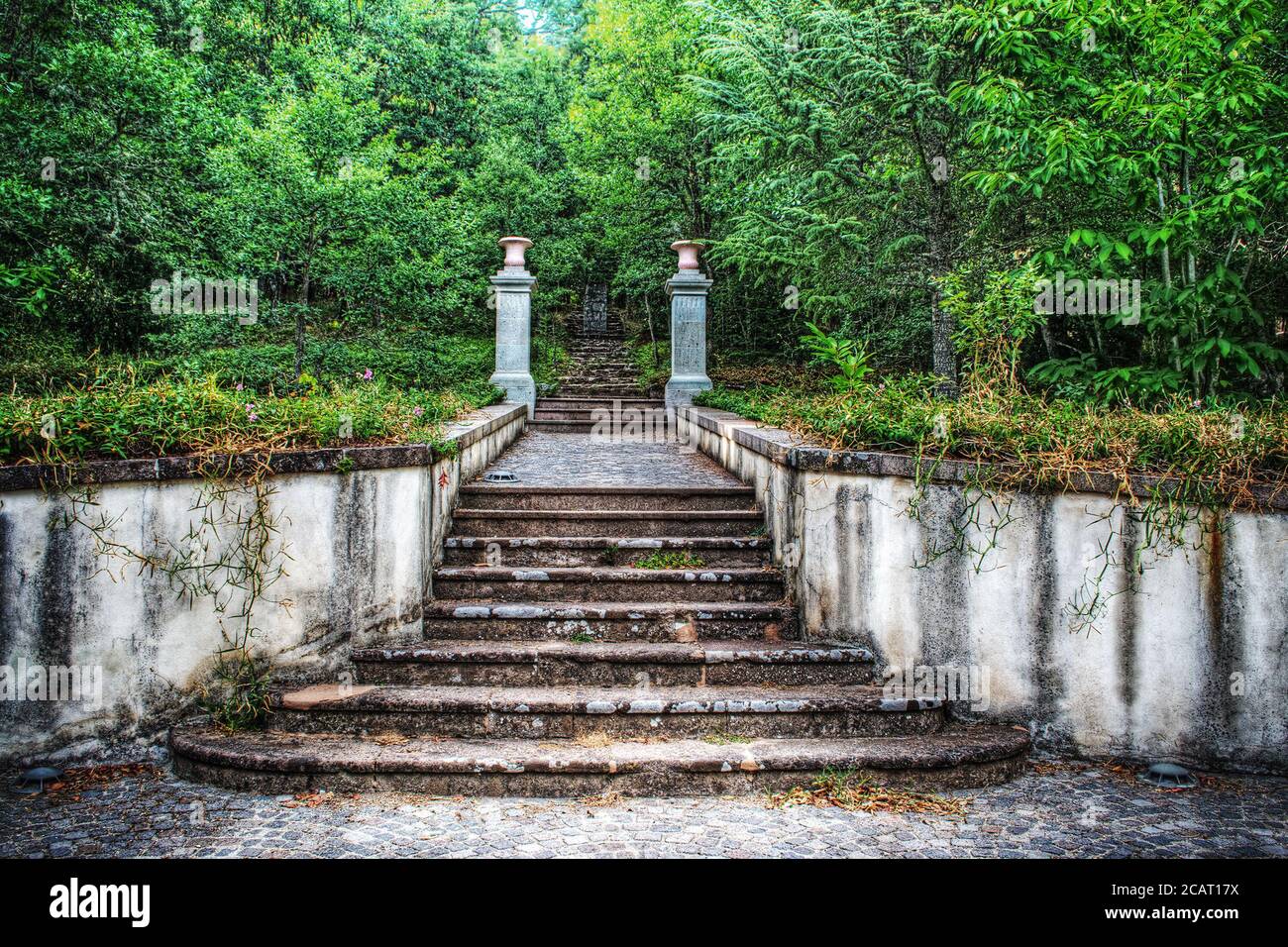 old stairs in the forest, Sardinia Stock Photo - Alamy