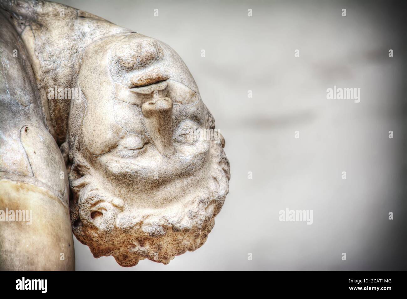 close up of Patroclo head Stock Photo - Alamy