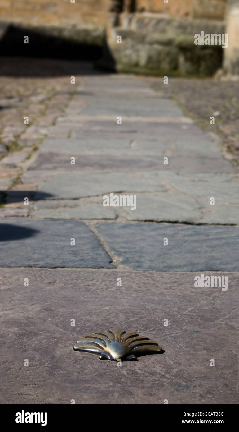 St james shell in hi-res stock photography and images - Alamy
