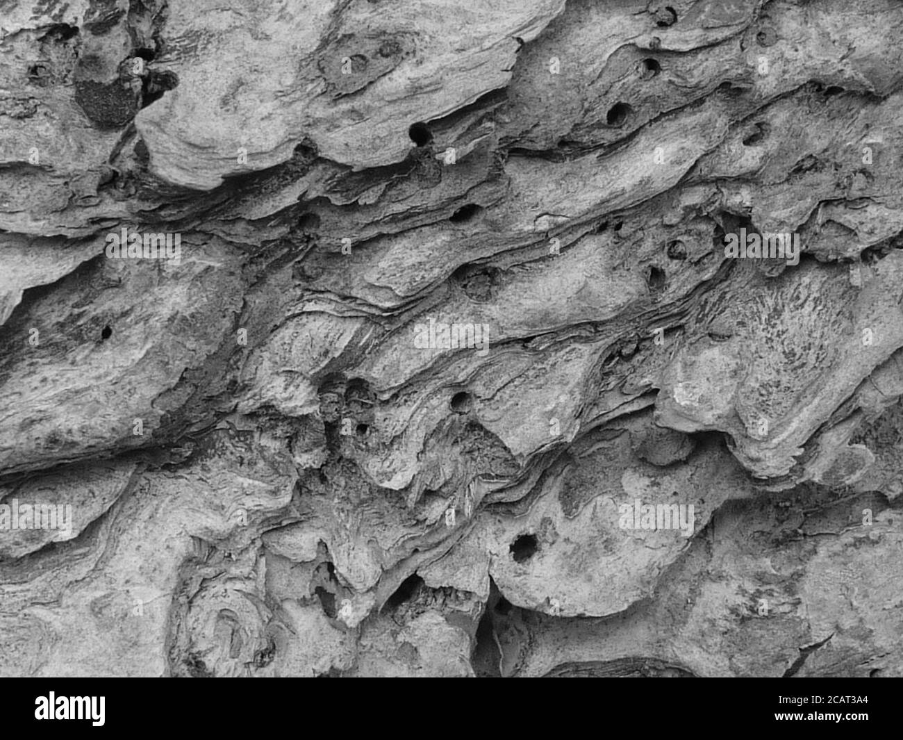Texture of carved stone Stock Photo - Alamy
