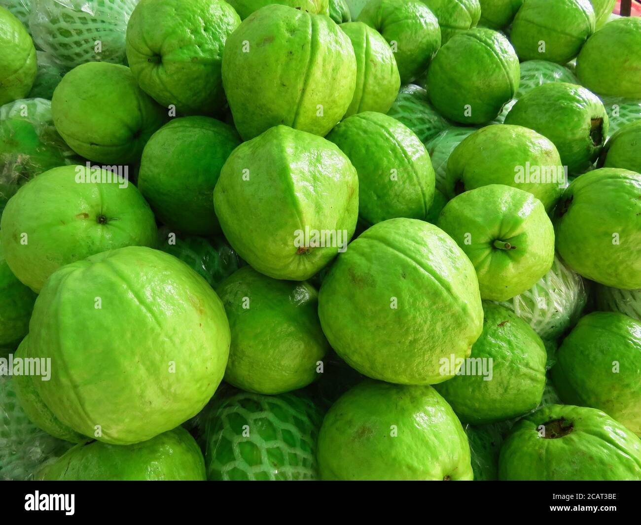 Closeup of green fruit guava Stock Photo - Alamy