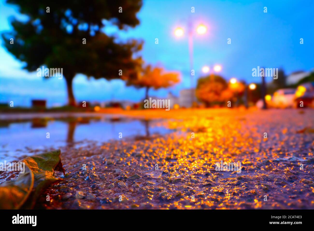 wet sidewalk at sunset in hdr Stock Photo - Alamy