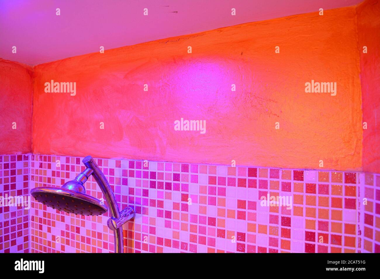 shower head in a colorful bathroom Stock Photo - Alamy