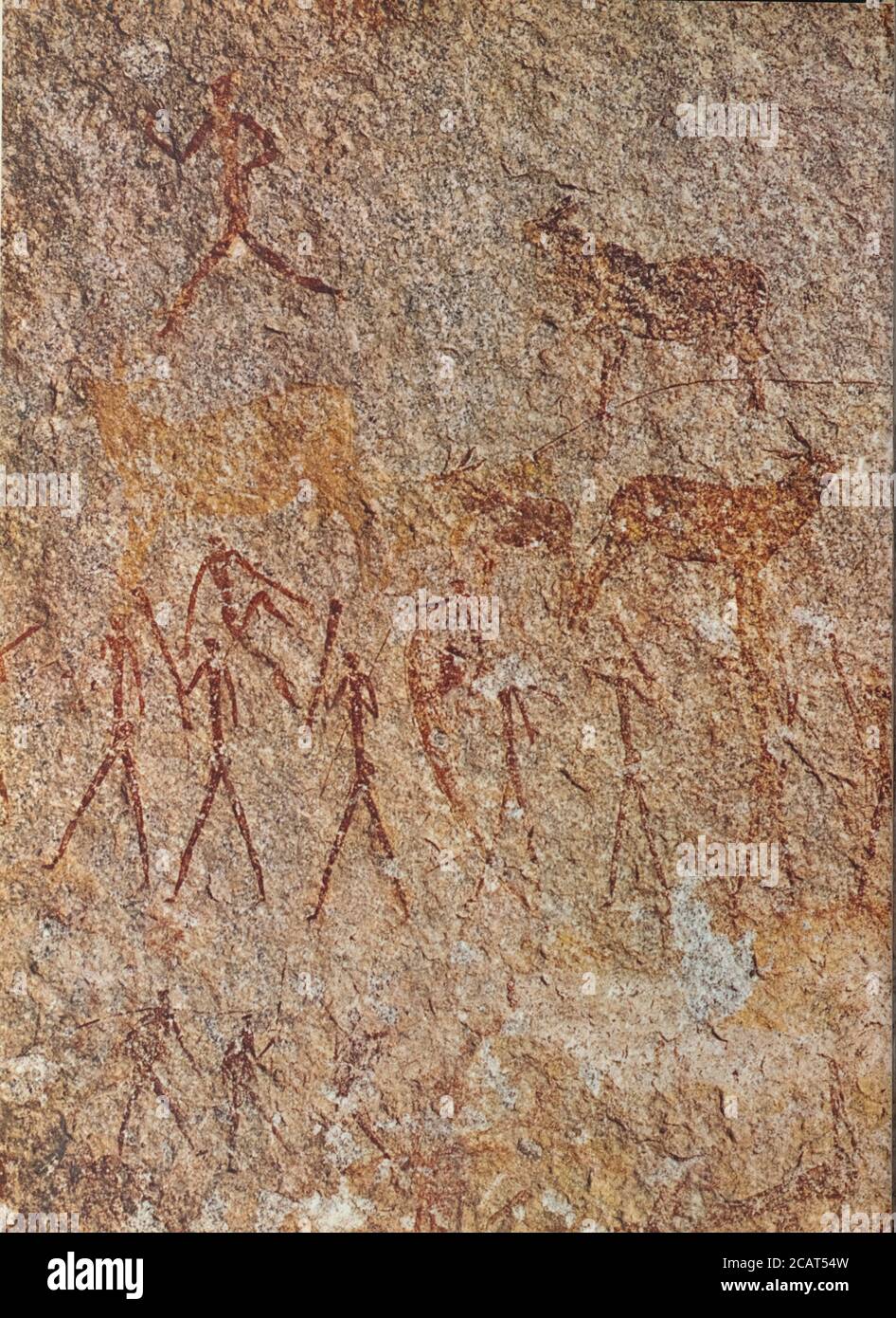 vintage animal illustration vintage classical artistic drawing Stock ...