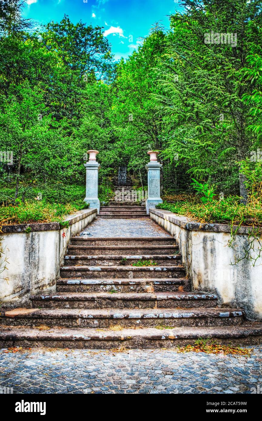 old stairs in the forest, Sardinia Stock Photo - Alamy