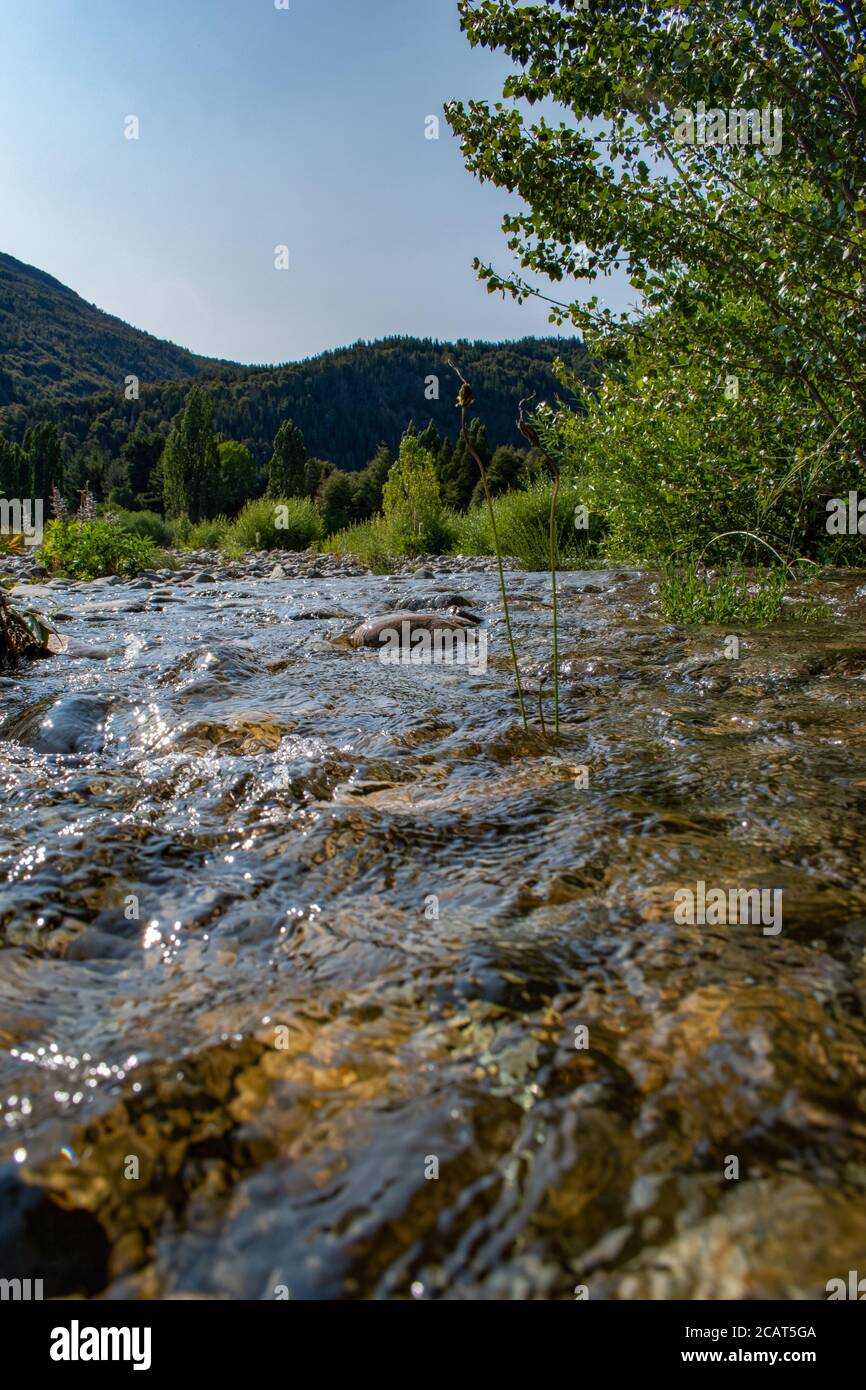 mountain river in the forest Stock Photo - Alamy