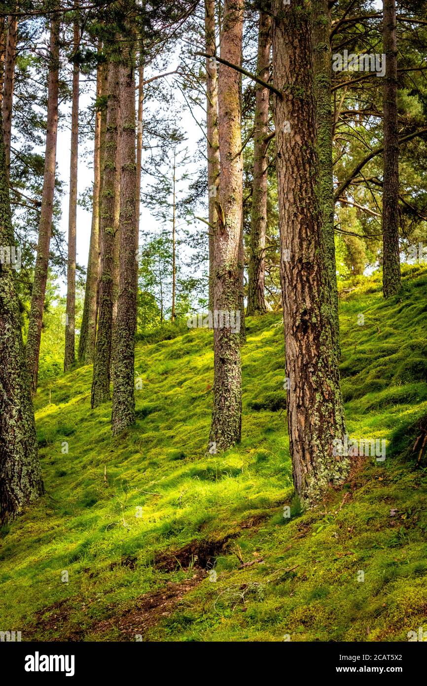 Newtonmore scotland hi-res stock photography and images - Alamy