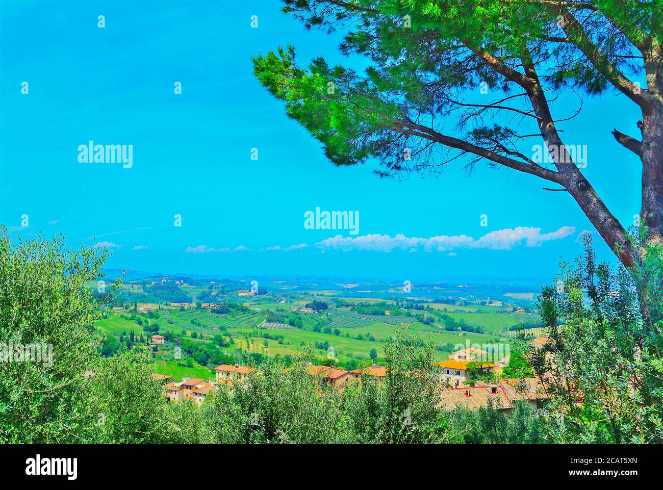tuscan landscape with pine tree and green fields Stock Photo - Alamy