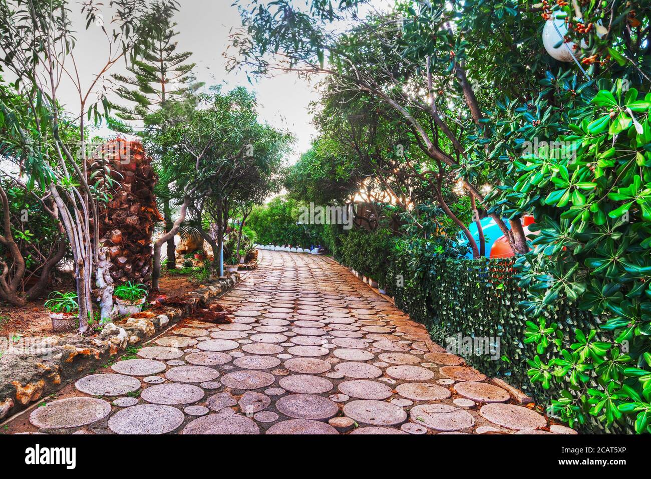 walkway in a tropical garden at sunset Stock Photo - Alamy