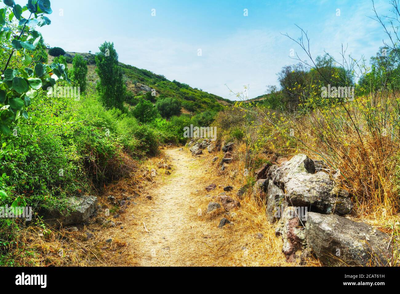 dirt path in Sardinian countryside, Italy Stock Photo - Alamy
