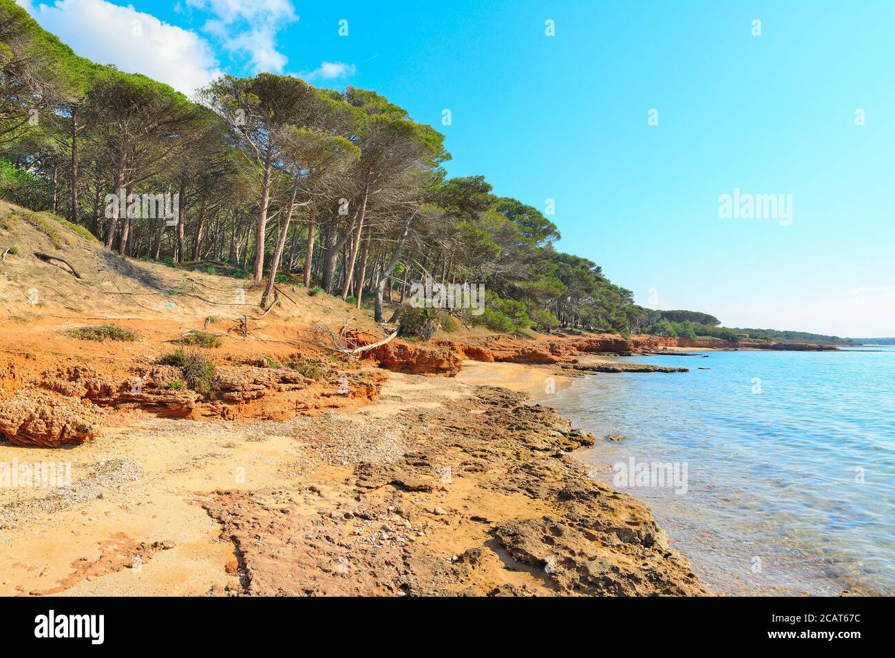 pine forest and rocky shore in Mugoni beach, Sardinia Stock Photo - Alamy